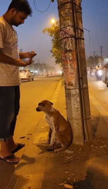 C0301003_This footage reveals unbearable pain reaching its breaking ...